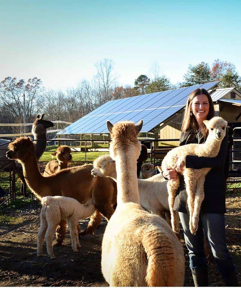 good karma ranch alpaca - Charlotte On The Cheap