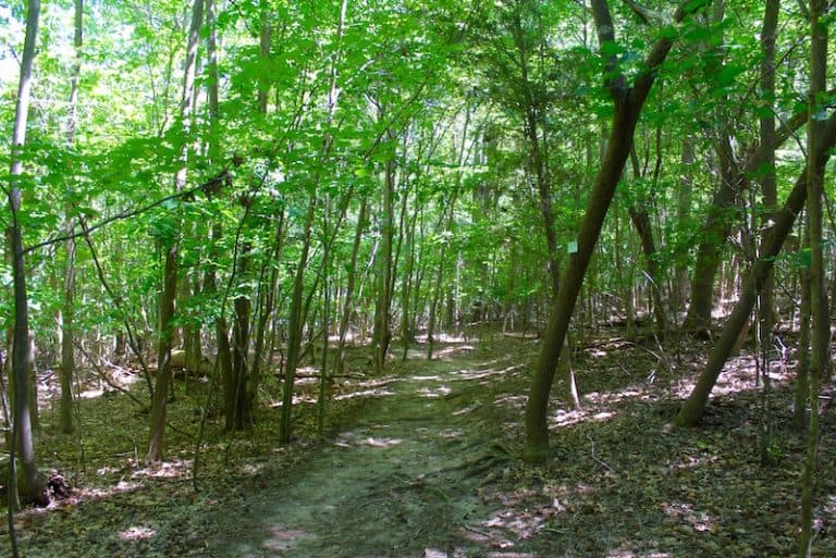 Slightly Haunted Trail Hike at Lake Norman State Park Oct 25 ...