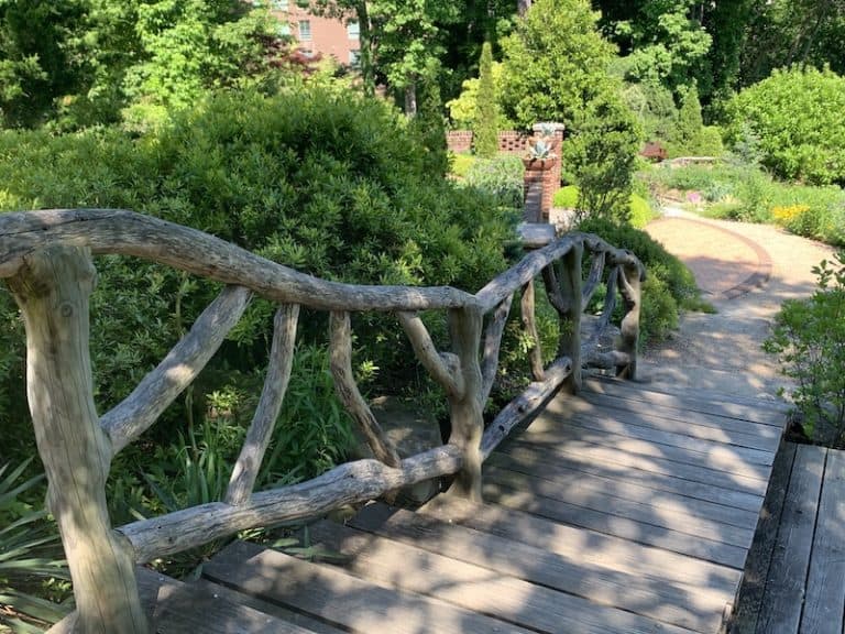 UNC Charlotte Botanical Gardens - a hidden gem! - Charlotte On The Cheap