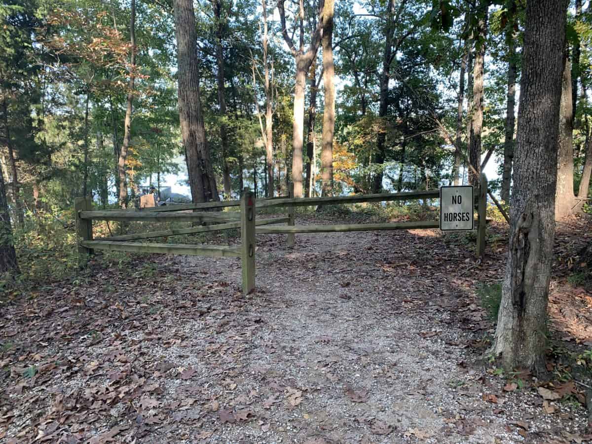 Take a very easy walk to a beautiful view - Buzzard Rock Overlook and ...