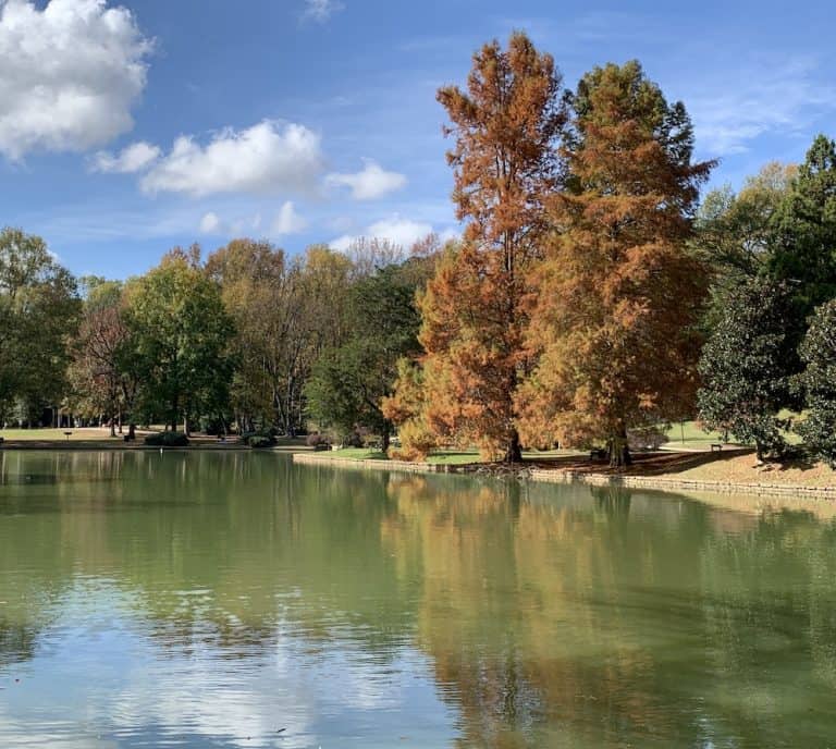 Find fall colors in Charlotte - an interactive map (and you can help us ...