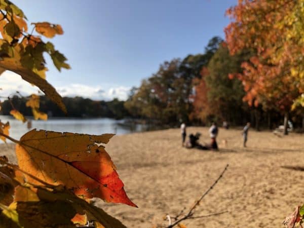 Find fall colors in Charlotte - an interactive map (and you can help us ...