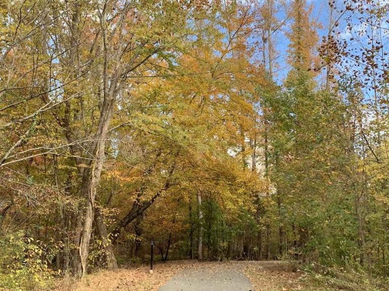 Find fall colors in Charlotte - an interactive map (and you can help us ...