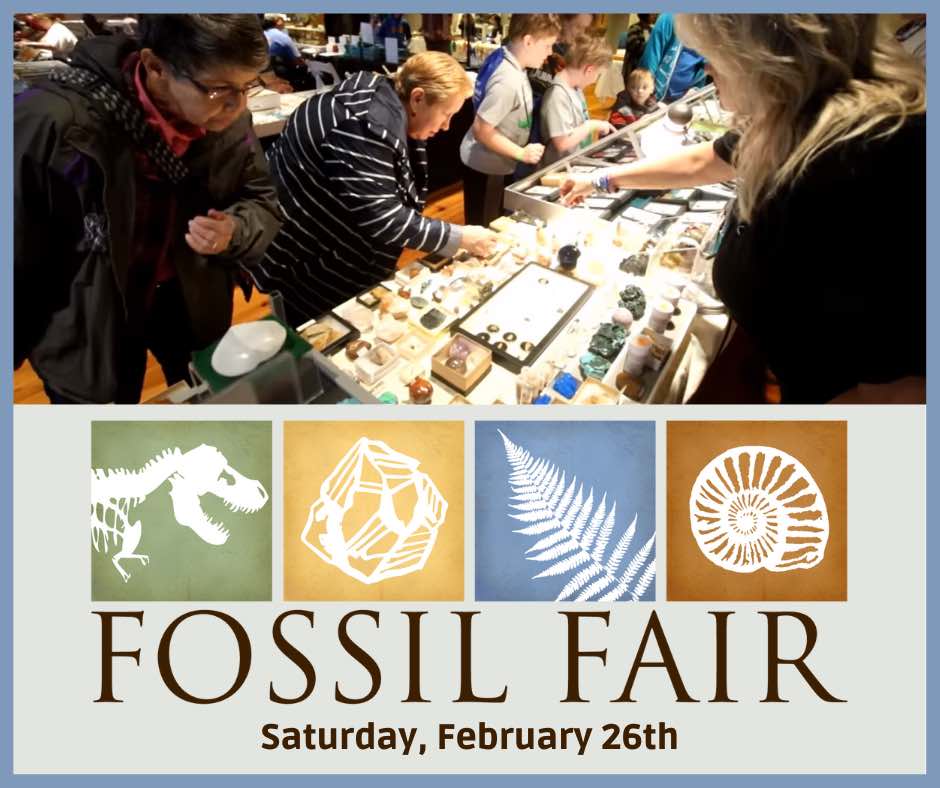 Fossil Fair at The Schiele Museum of Natural History Feb 22 - Charlotte ...