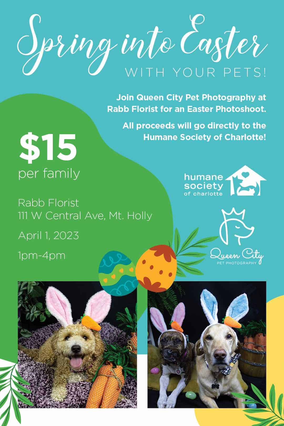 Easter Pet Photos with Queen City Pet Photography April 1 - Charlotte ...