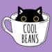9 Cat Cafés in the Charlotte Area - Charlotte On The Cheap