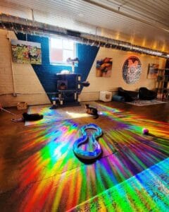 9 Cat Cafés in the Charlotte Area - Charlotte On The Cheap