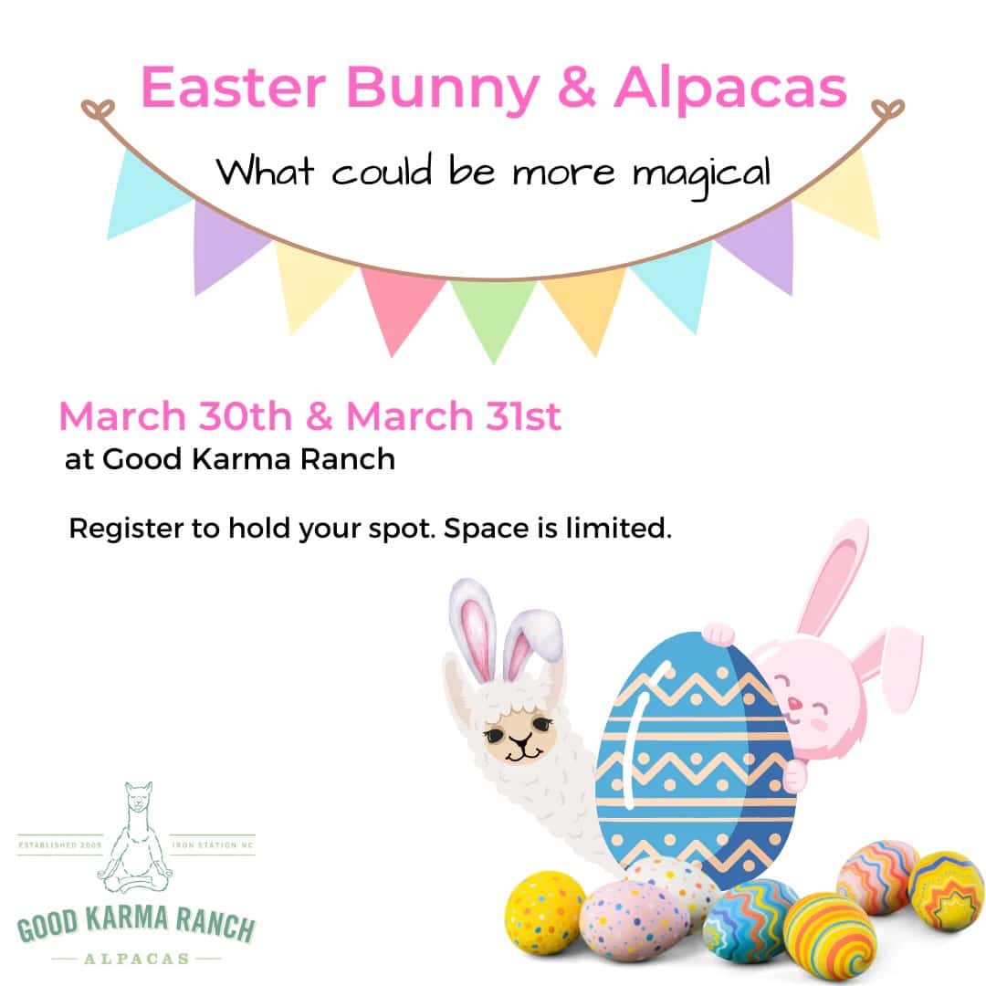 Take pictures with the Easter Bunny and alpacas at Good Karma Ranch ...