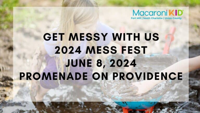 Mess Fest at the Promenade June 8 - Charlotte On The Cheap