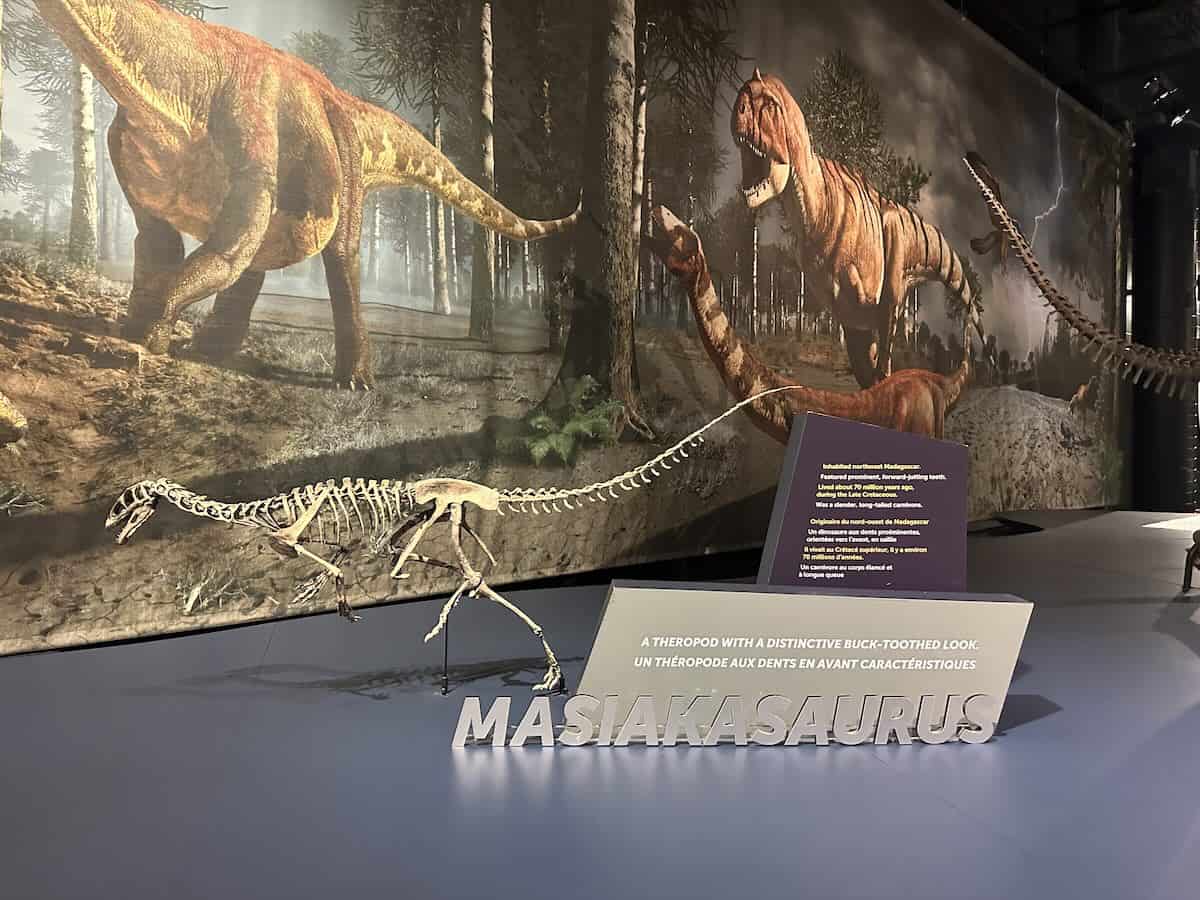 Ultimate Dinosaurs: Meet a New Breed of Beast opens at Discovery Place ...