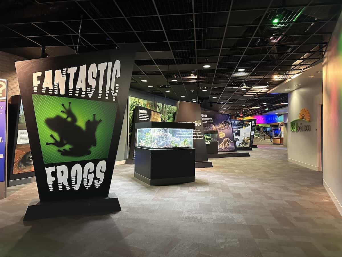 Sensory-Friendly Hours at Discovery Place Science First Sunday of Month ... Sensory-Friendly Hours at Discovery Place Science First Sunday of Month ...