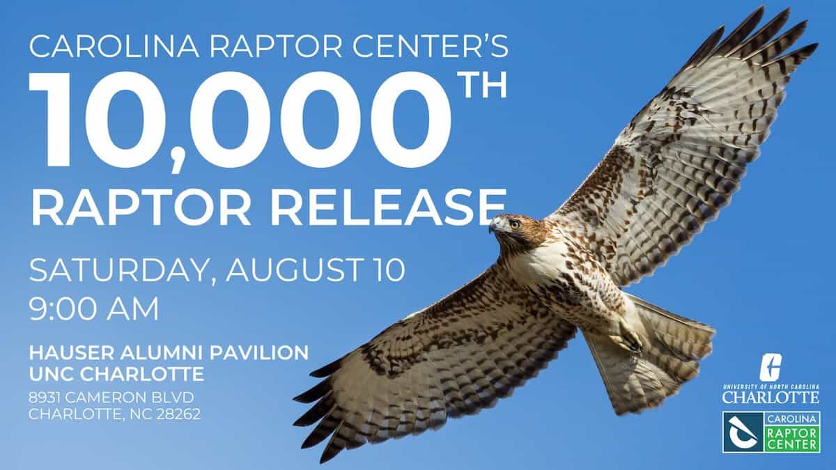 Carolina Raptor Center is releasing its 10,000th raptor August 10 ...