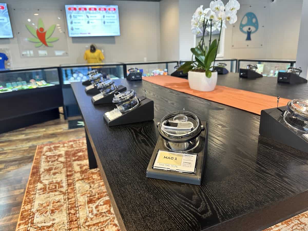 Grand Opening of CannaBuddy May 31 - Charlotte On The Cheap
