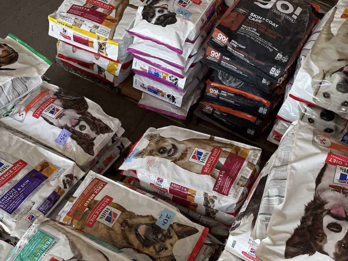 Half price dog (and cat) food at Vista! - Charlotte On The Cheap