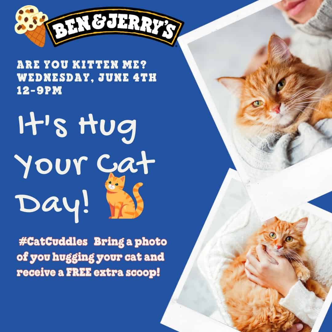 National Hug Your Cat Day: Free scoop at Ben & Jerry's Davidson if you ...