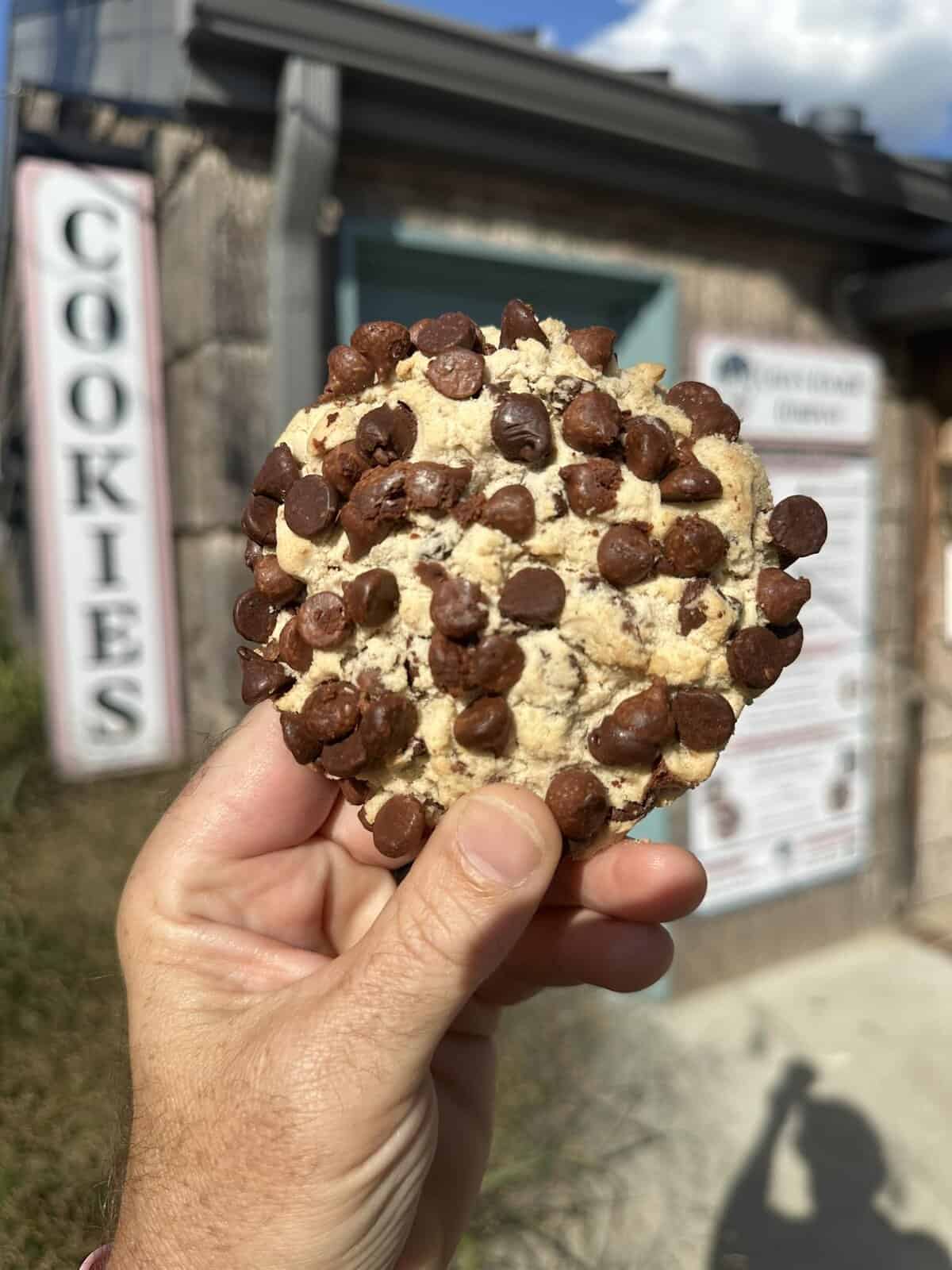 First 200 guests at Cara's Cookie Company grand opening at Camp North ...