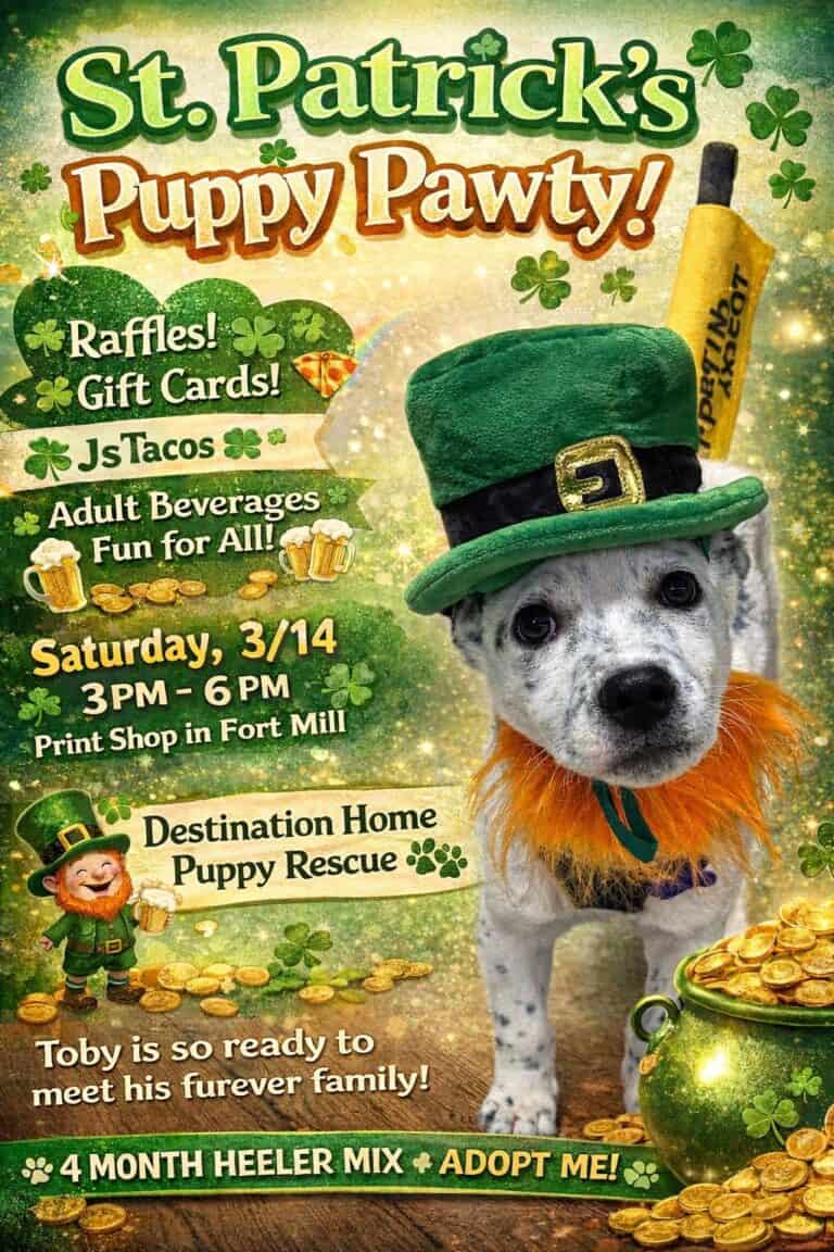 St. Patrick's Day Puppy Pawty March 14 - Charlotte On The Cheap